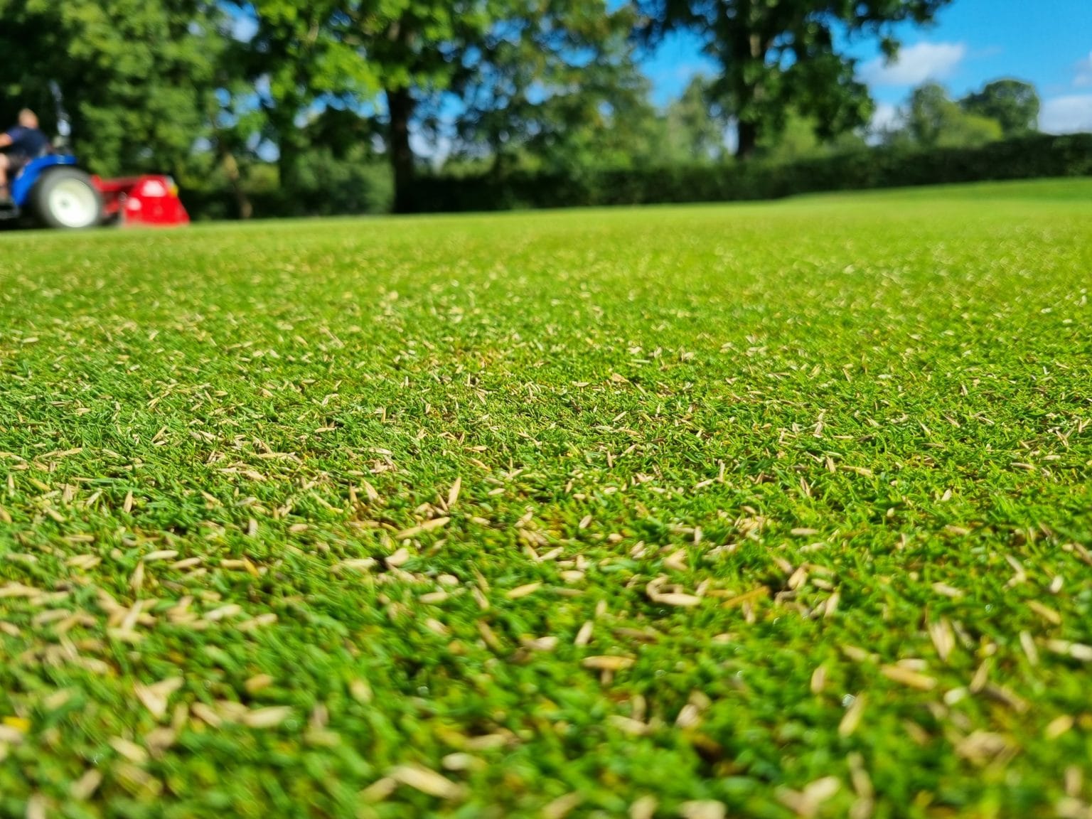All Greens Overseeded with Bent, Fescue and Dwarf Rye grass - Rothley ...